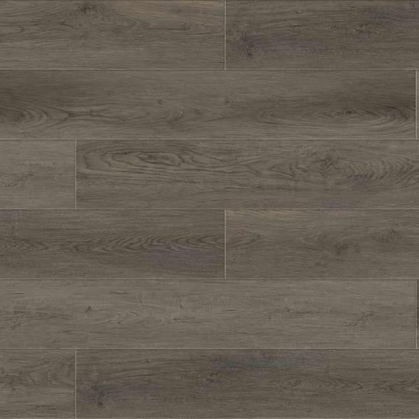 Omega Nightsahde - Ottawa